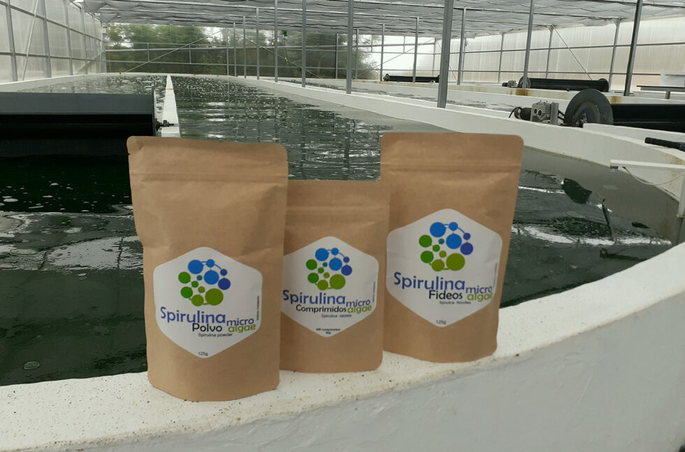 Venta de Espirulina de Calidad - Somo cultivadores - Microalgae
